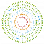 Downloadportaal - Phase to Phase