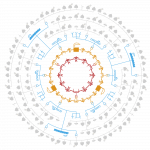 Vision Network Analysis - Phase to Phase